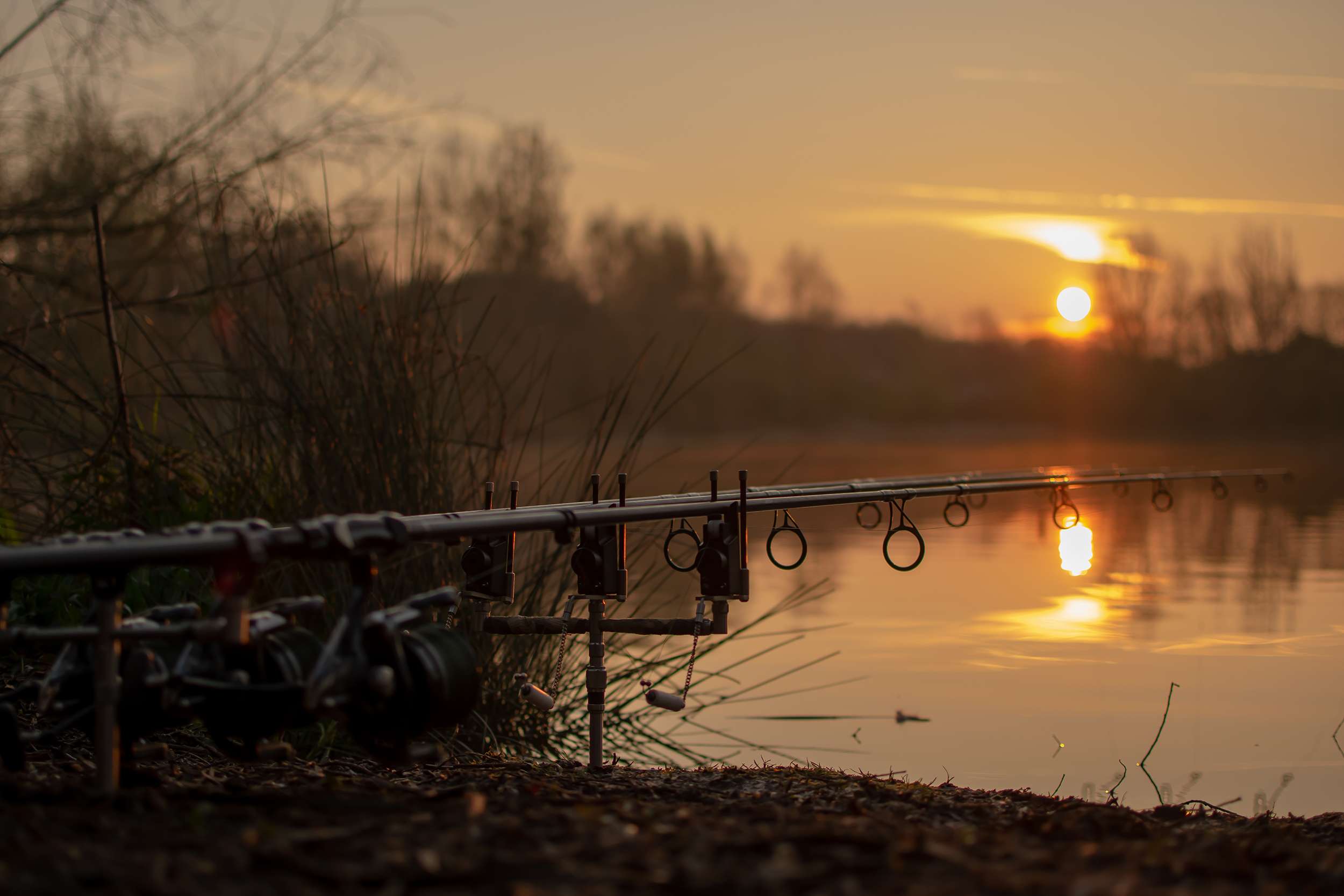 AA Baits | Quality Fishing Baits