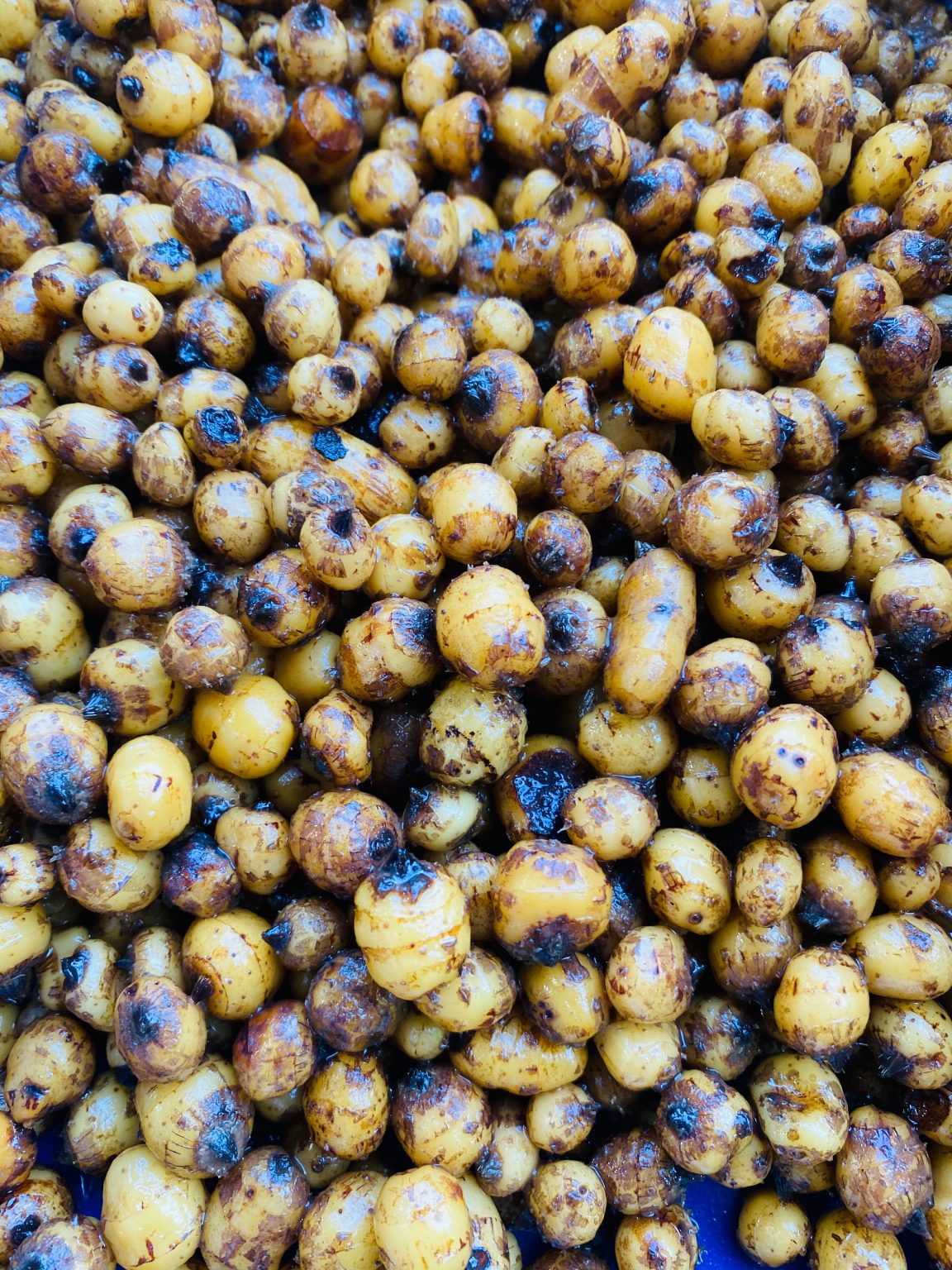 Tigernuts – Standard 8-12mm (Prepared)